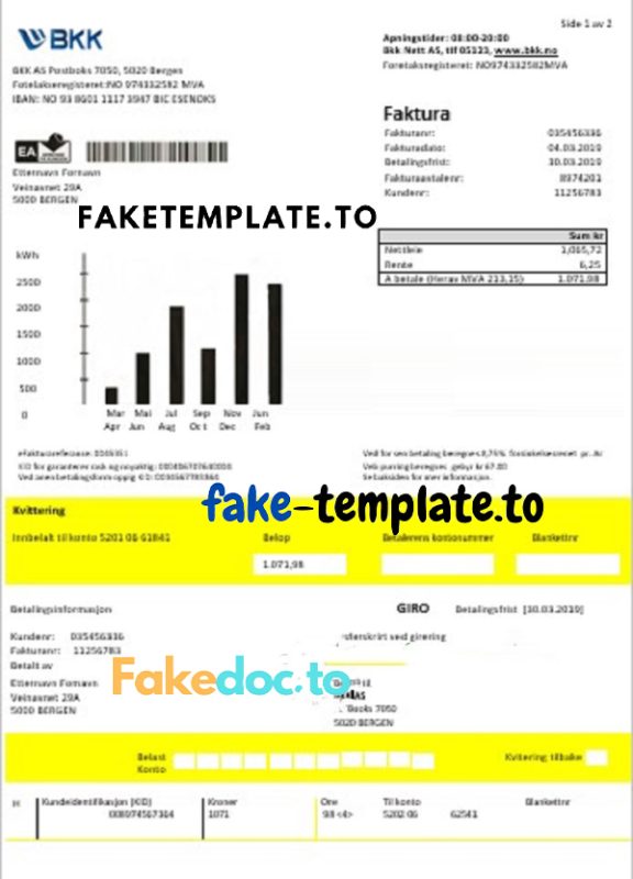Norway BKK electricity utility bill template in Word and PDF format ...