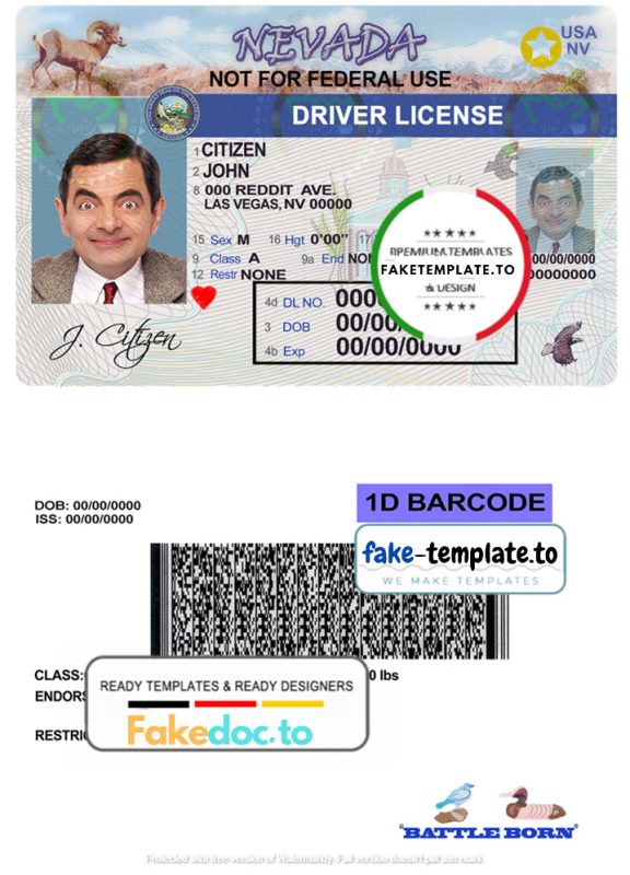 USA Nevada driving license template in PSD format – FakeTemplate.cc