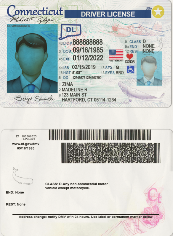 USA Connecticut driving license template in PSD format – FakeTemplate.cc